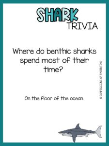 63 Jaw-some Shark Trivia Questions and Answer