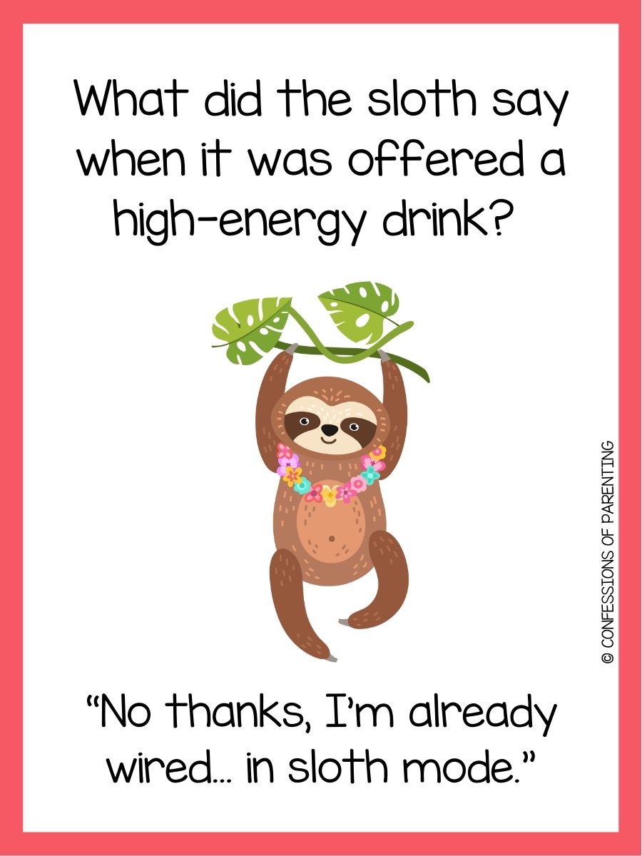 200 Funny Sloth Puns You'll Love