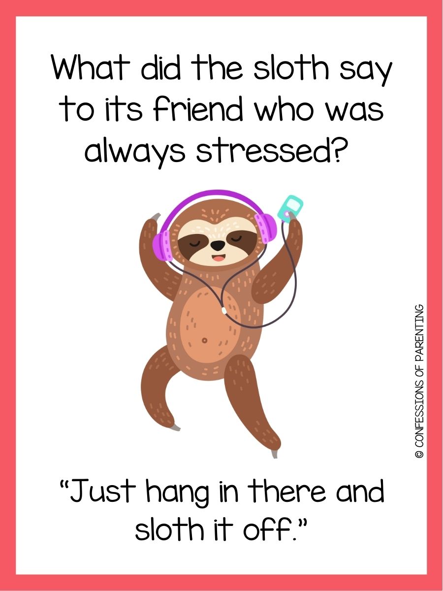 200 Funny Sloth Puns You'll Love