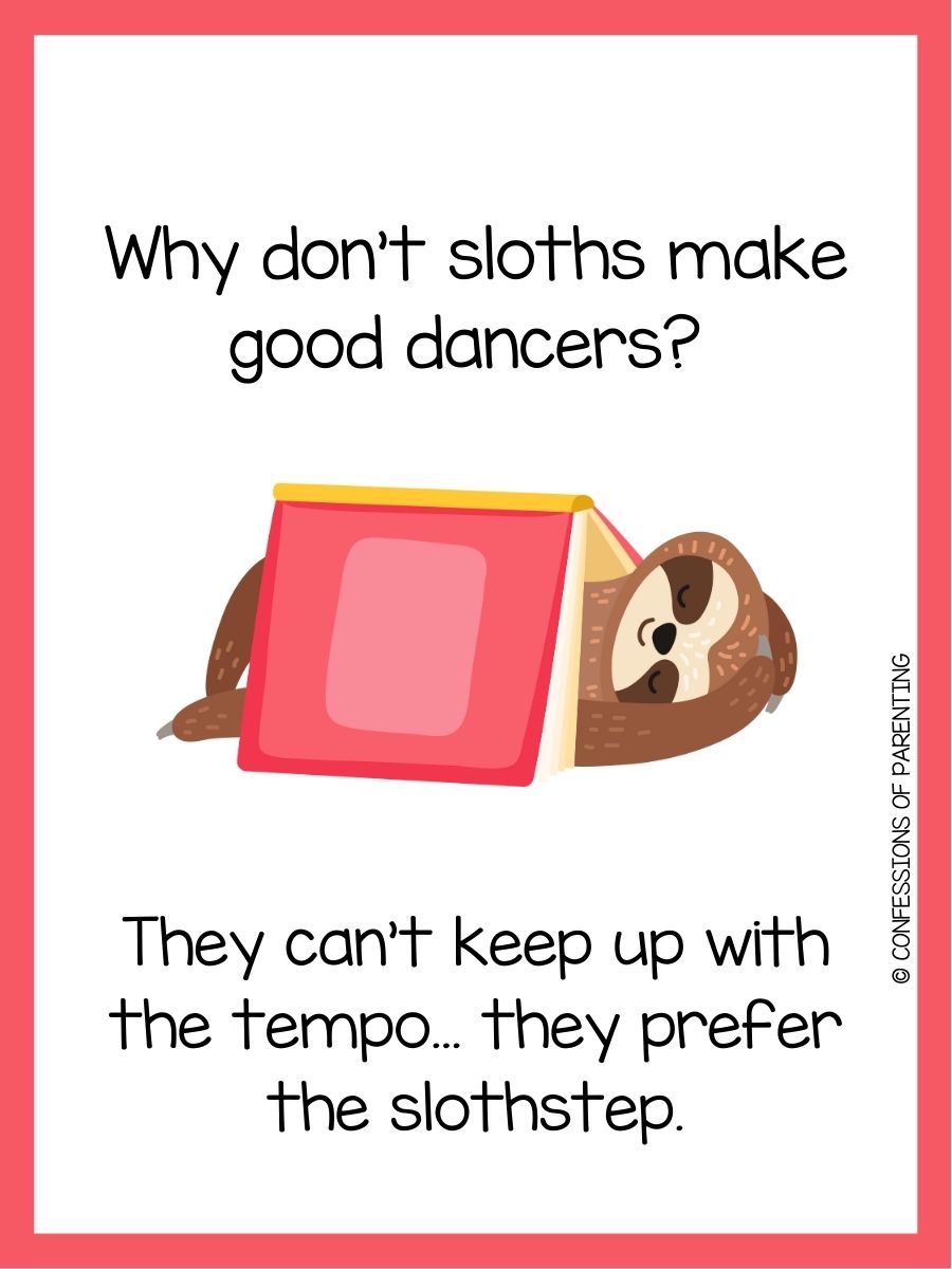200 Funny Sloth Puns You'll Love