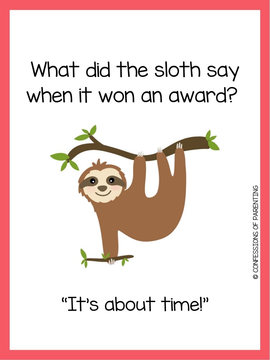 40+ Funny Sloth Puns That Are Slow, Silly & Totally Worth It