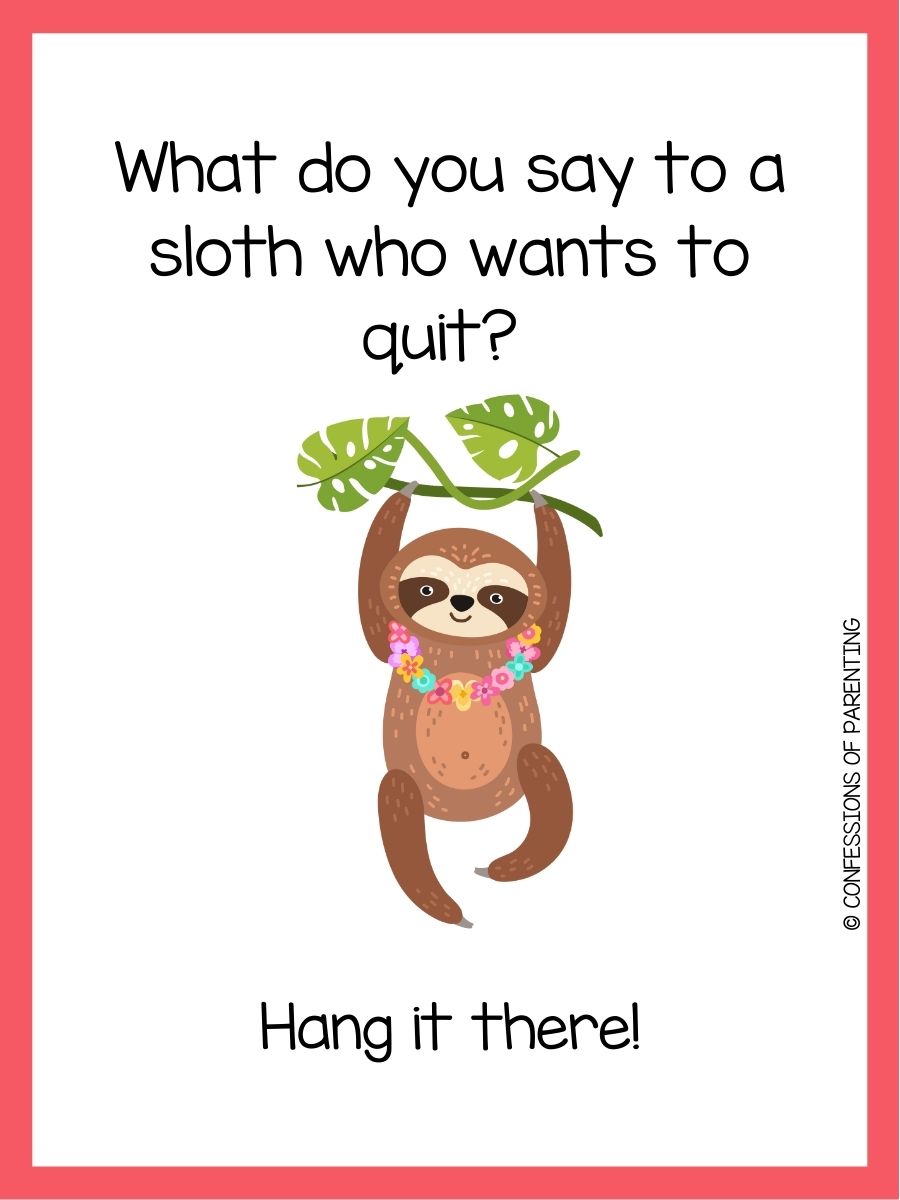 200 Funny Sloth Puns You'll Love
