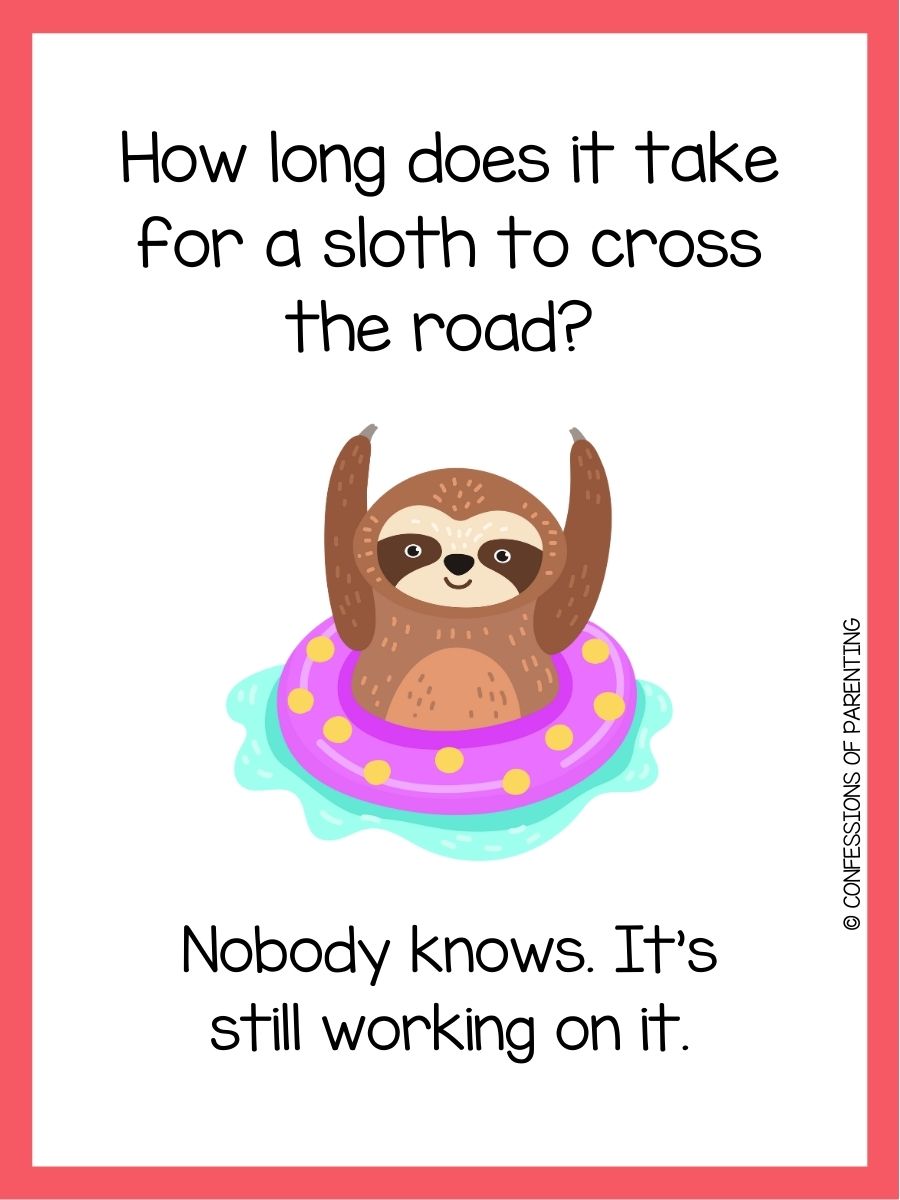200 Funny Sloth Puns You'll Love