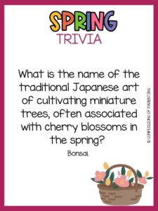 100 Best Spring Trivia Questions and Answers