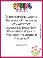 100 Best Spring Trivia Questions and Answers