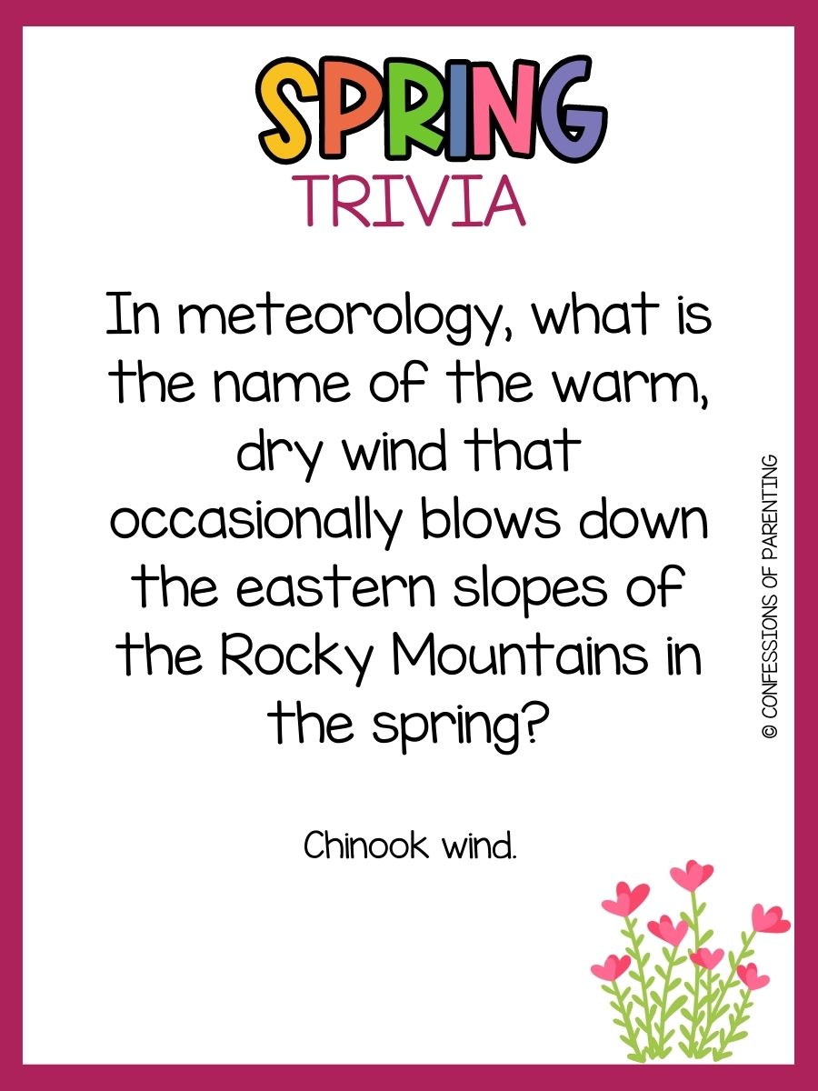 100 Best Spring Trivia Questions and Answers