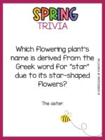 100 Best Spring Trivia Questions and Answers