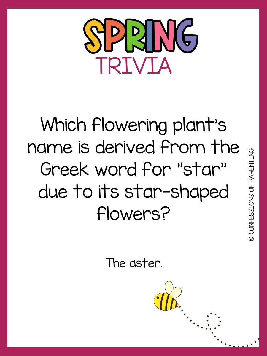 100 Best Spring Trivia Questions and Answers