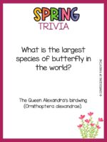 100 Best Spring Trivia Questions and Answers