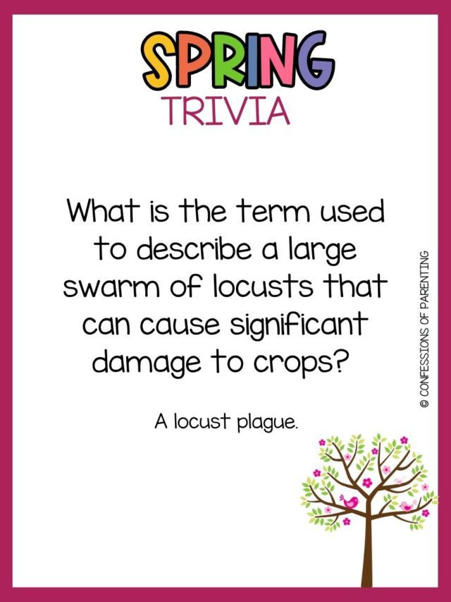 100 Best Spring Trivia Questions and Answers