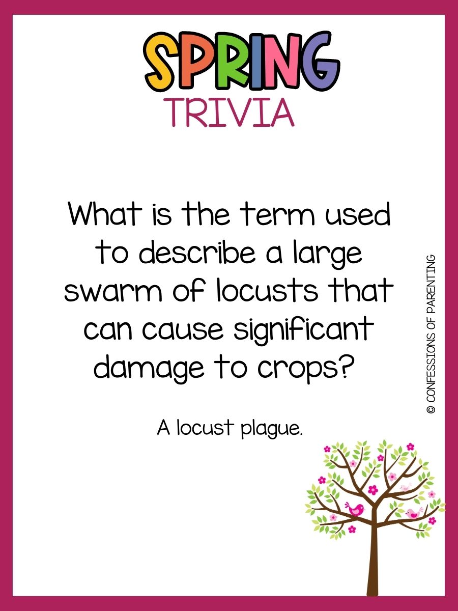 100 Best Spring Trivia Questions and Answers