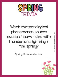 100 Best Spring Trivia Questions and Answers