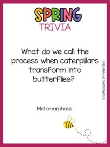 100 Best Spring Trivia Questions and Answers