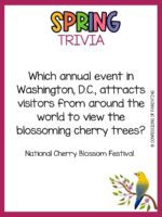 100 Best Spring Trivia Questions and Answers