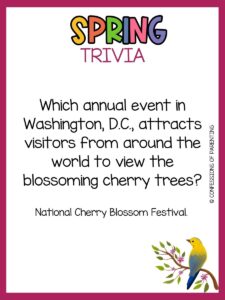 100 Best Spring Trivia Questions and Answers