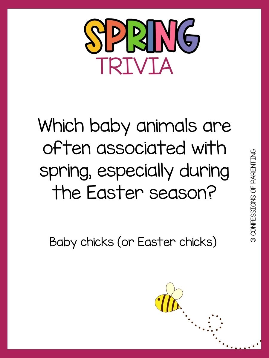 100 Best Spring Trivia Questions and Answers