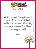 100 Best Spring Trivia Questions and Answers