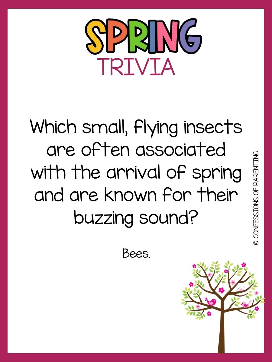 100 Best Spring Trivia Questions and Answers