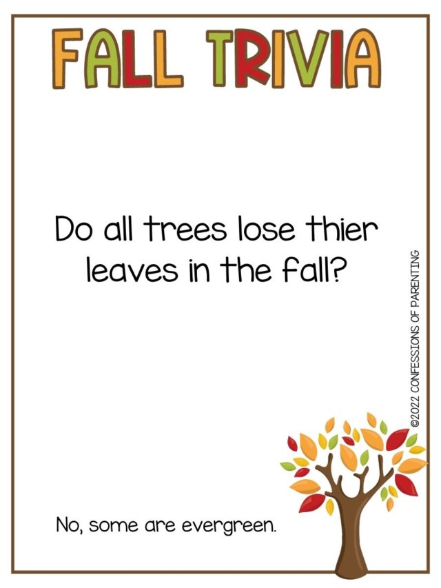 175 Best Fall Trivia Questions + Answers [for Kids & Adults]