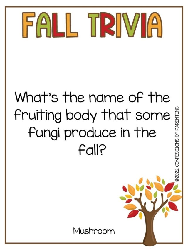 175 Best Fall Trivia Questions + Answers [for Kids & Adults]