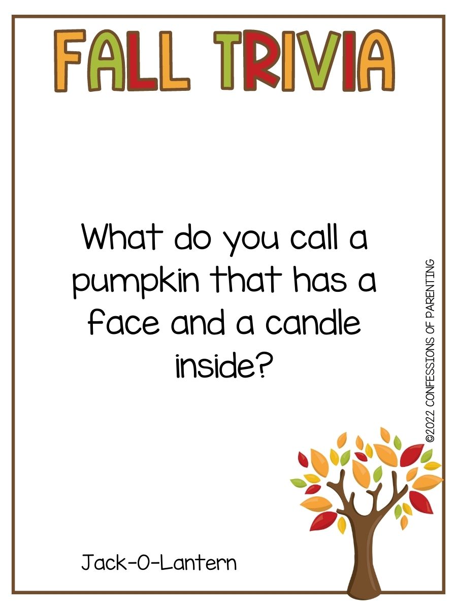 175 Best Fall Trivia Questions + Answers [for Kids & Adults]