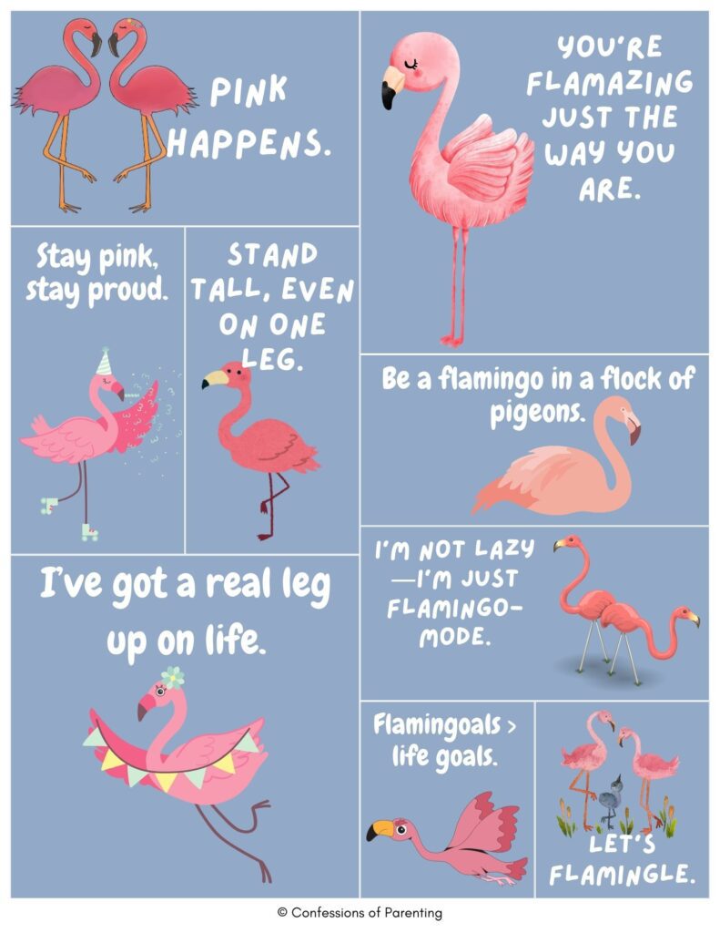 120 Flamingo Puns That’ll Make You Laugh, Flap, & Stand Out