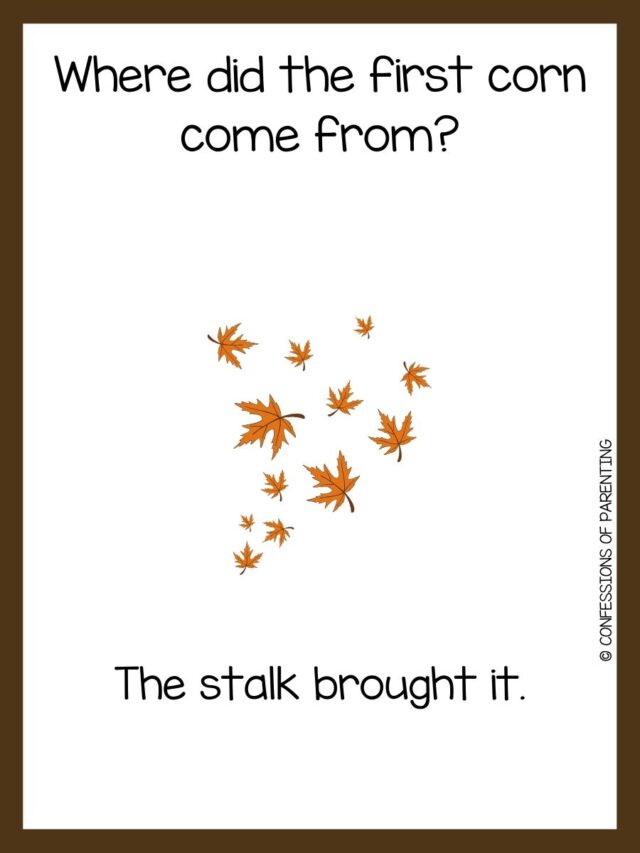 120 Best November Jokes That Turn Heads With Laughs