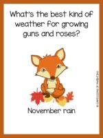 150+ Best Autumn Jokes That Make You Fall for Autumn