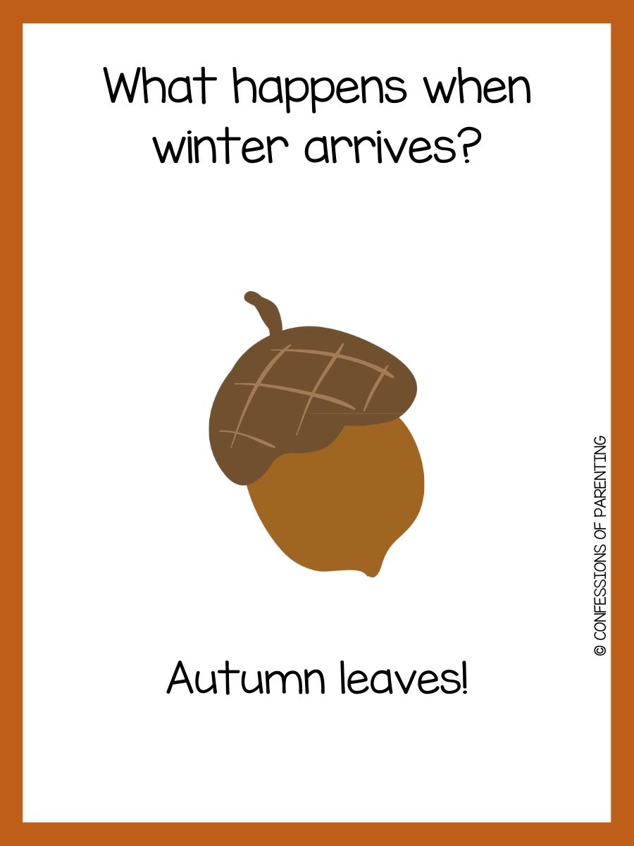 150+ Best Autumn Jokes That Make You Fall for Autumn