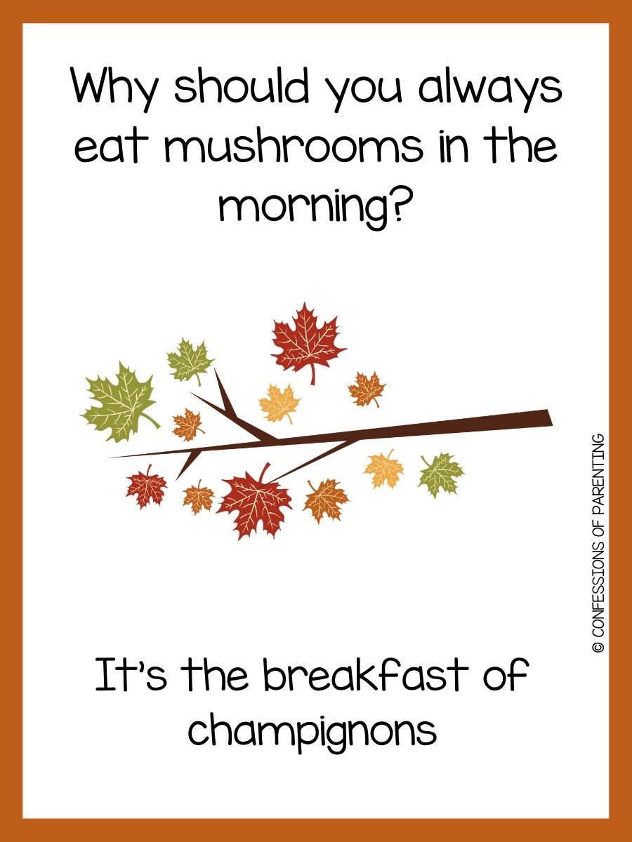 150+ Best Autumn Jokes That Make You Fall for Autumn