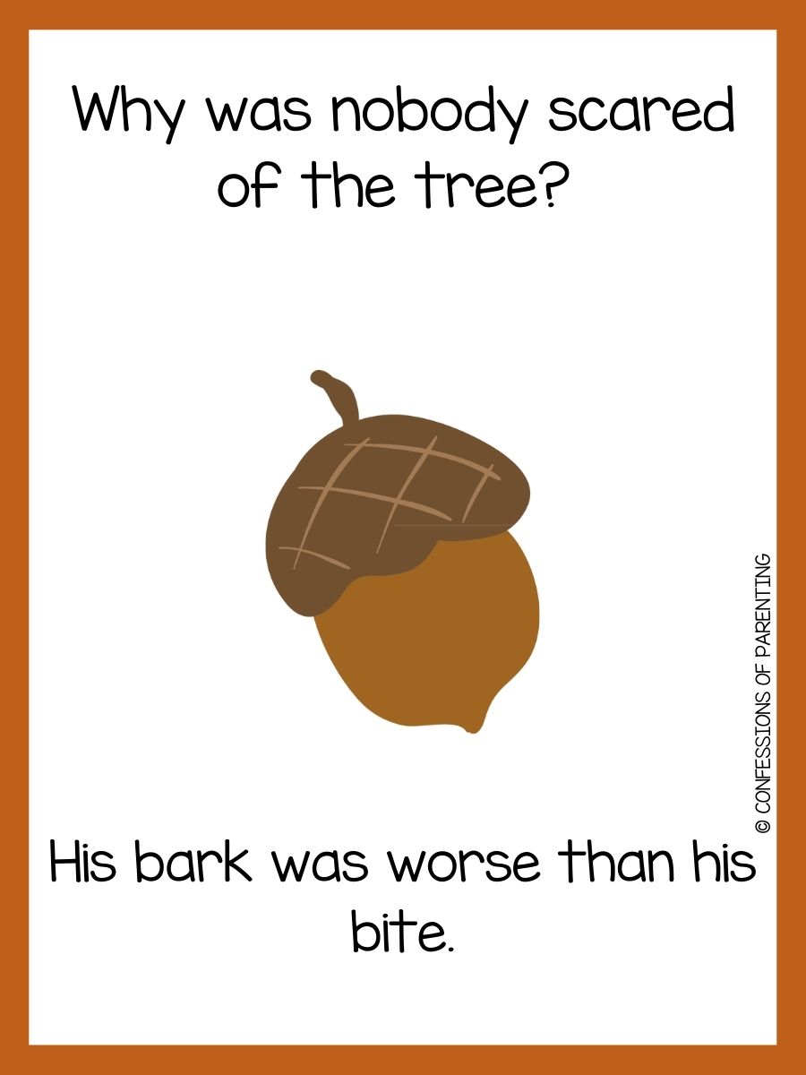 150+ Best Autumn Jokes That Make You Fall for Autumn