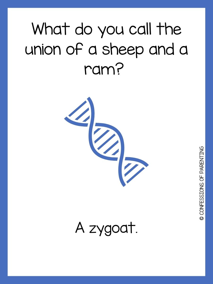 175 Best Biology Jokes