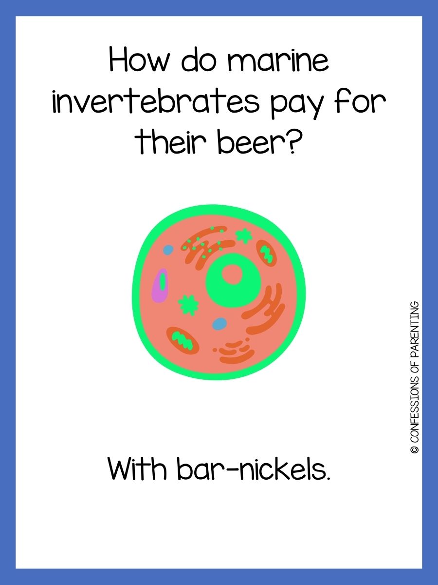 175 Best Biology Jokes