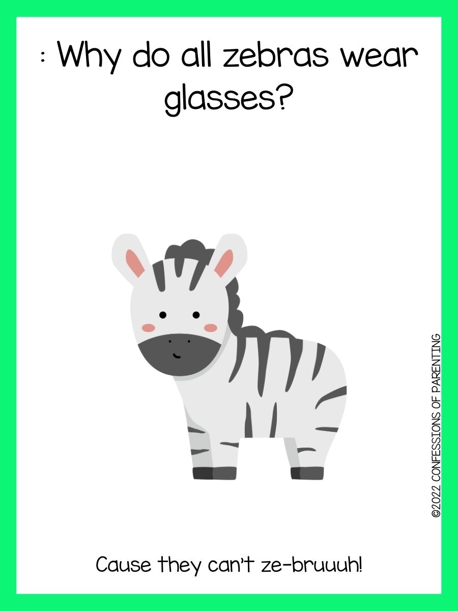 Best Zebra Jokes for Kids – Funny Black & White Animal Jokes