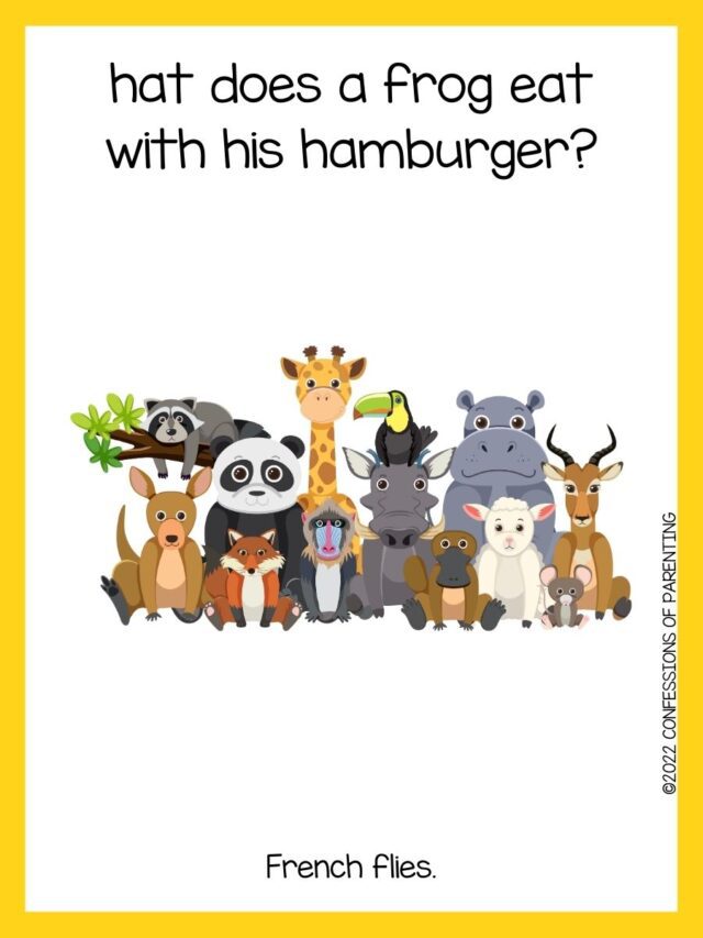 Best Zoo Jokes for Kids – Funny Animal Jokes from the Zoo