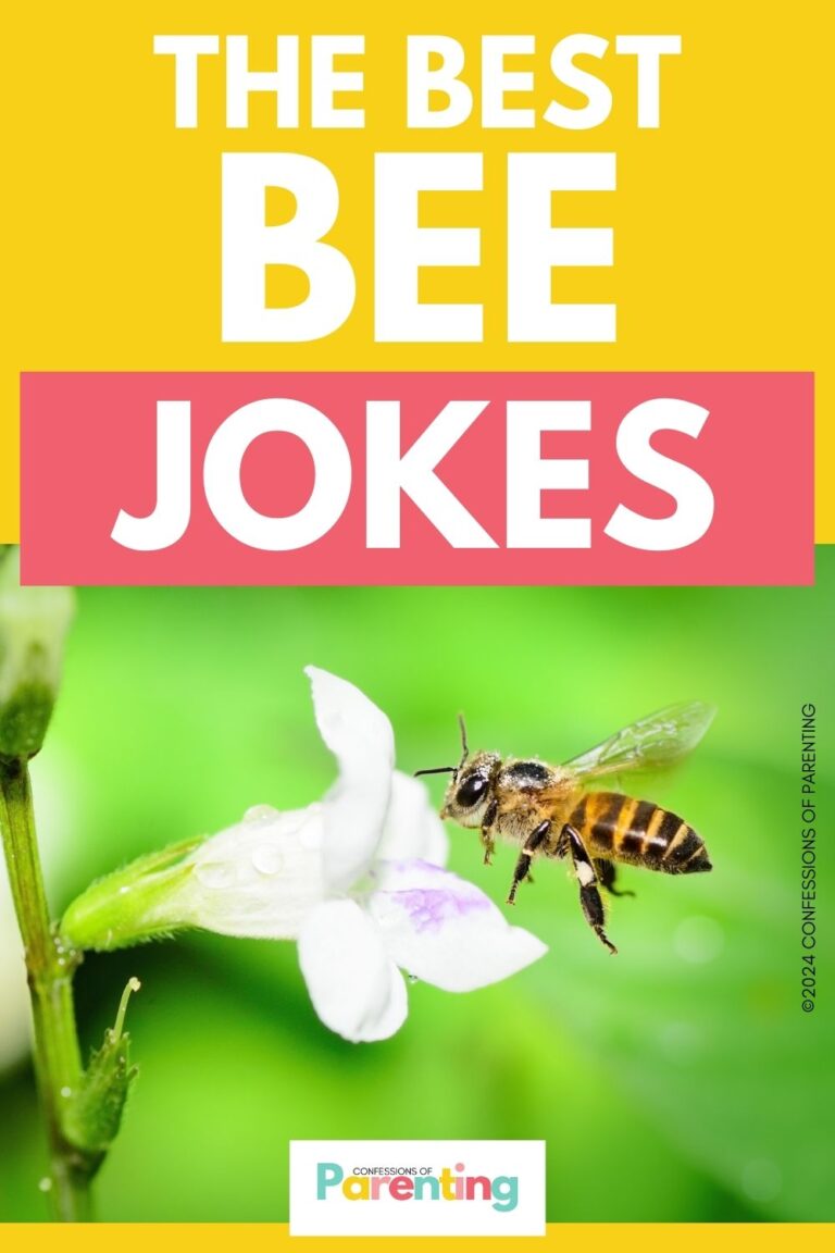 110 Best Bee Jokes That Will Get You Buzzing With Laughter [Free Joke ...