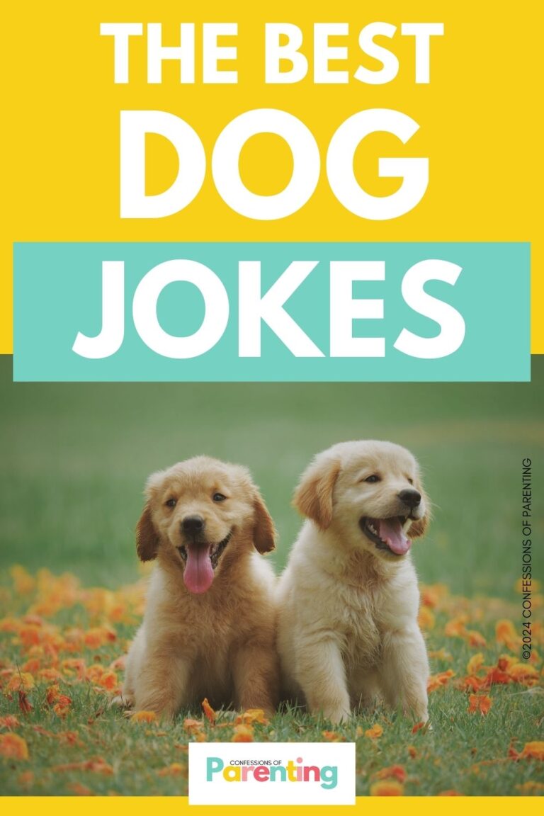 Best Dog Jokes for Kids – 75+ Clean & Funny Dog Jokes