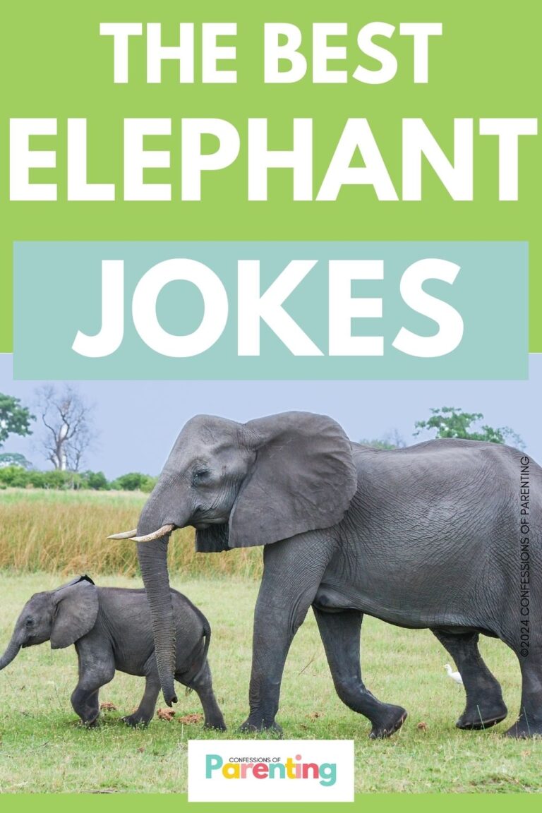 115 Funny Elephant Jokes That Make You LOL [Free Joke Cards]