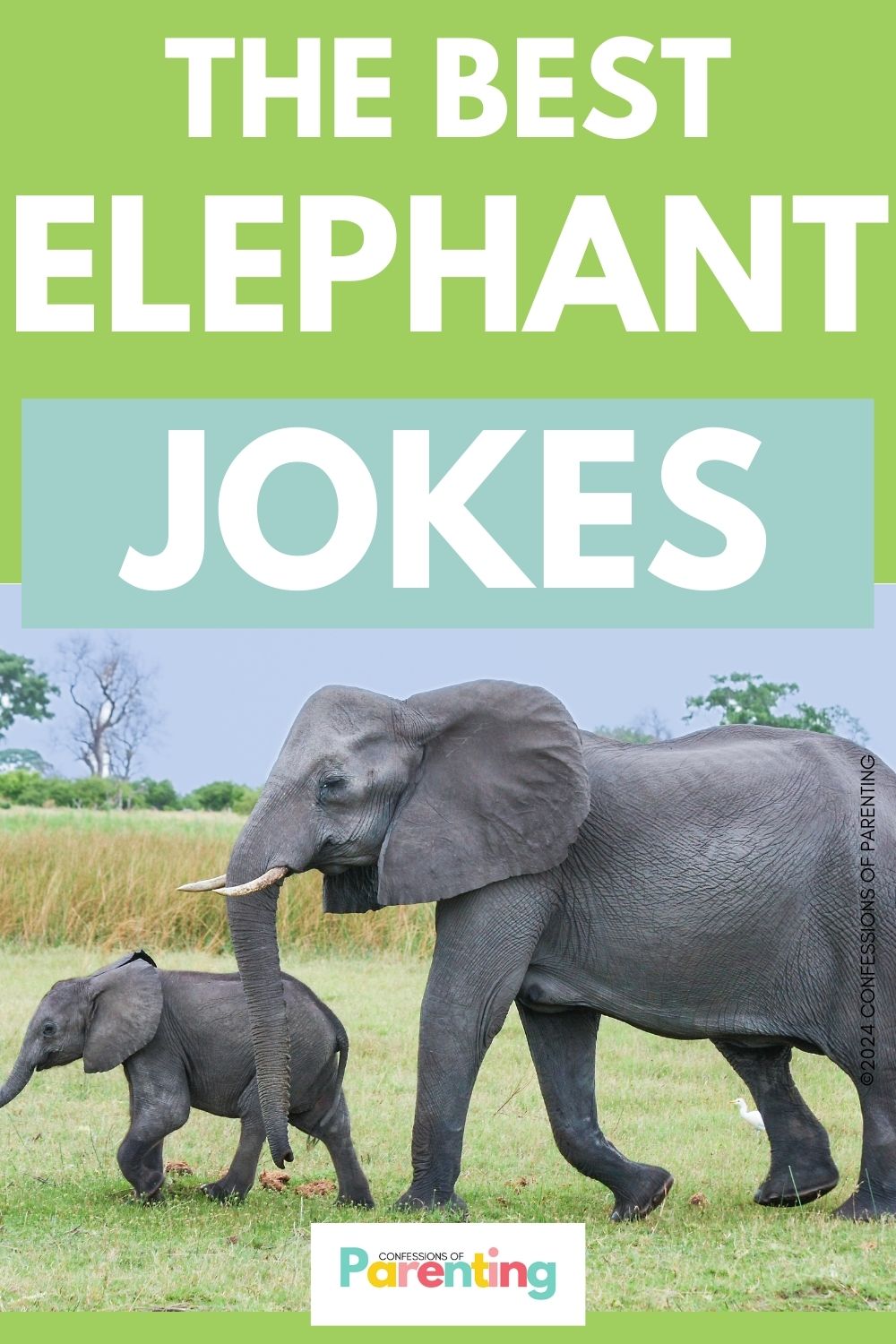 Elephant Jokes for Kids – 70+ Clean & Funny Elephant Jokes