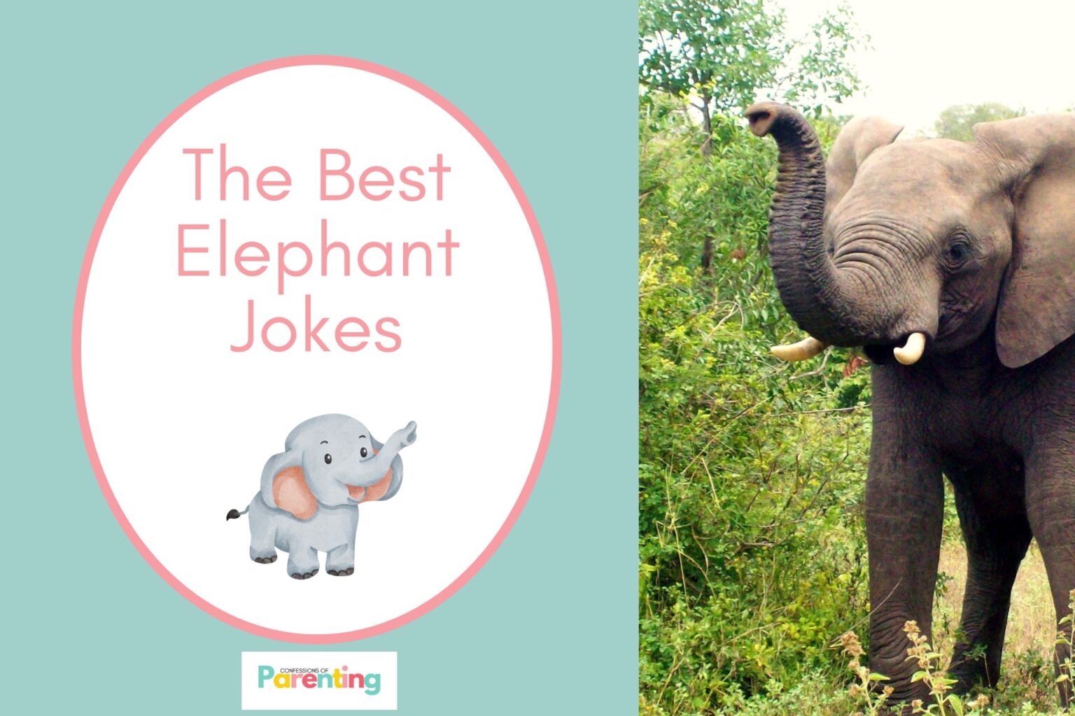 Elephant Jokes for Kids – 70+ Clean & Funny Elephant Jokes