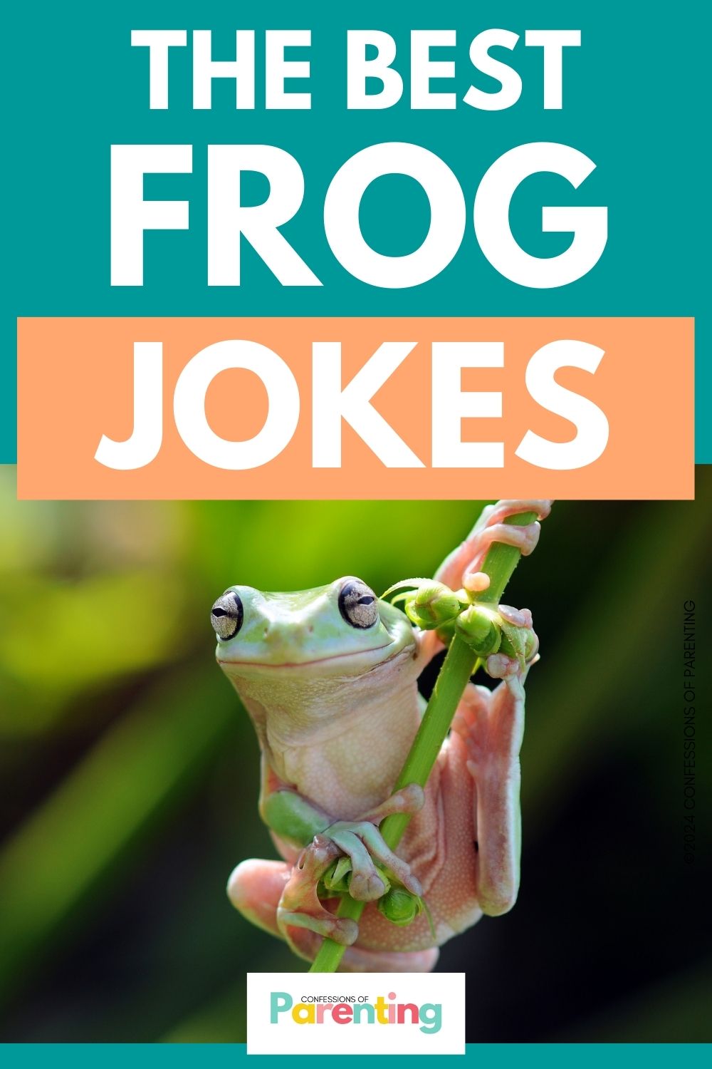 Best Frog Jokes for Kids – 70+ Clean & Funny Frog Jokes