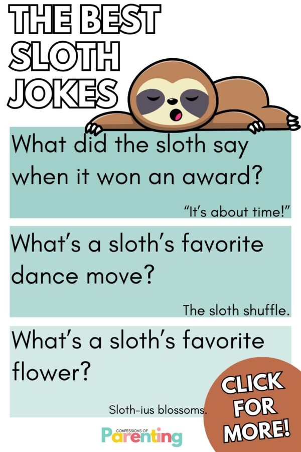 200 Funny Sloth Puns You'll Love