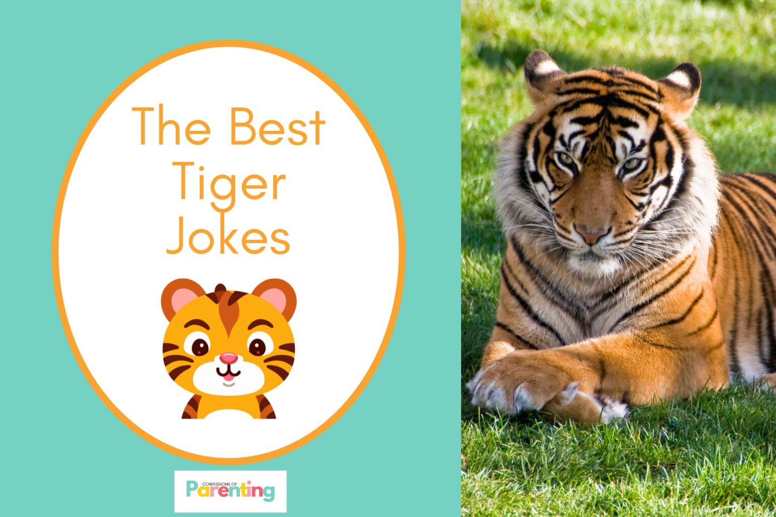 Best Tiger Jokes: Funny, Clean Tiger Jokes for Kids