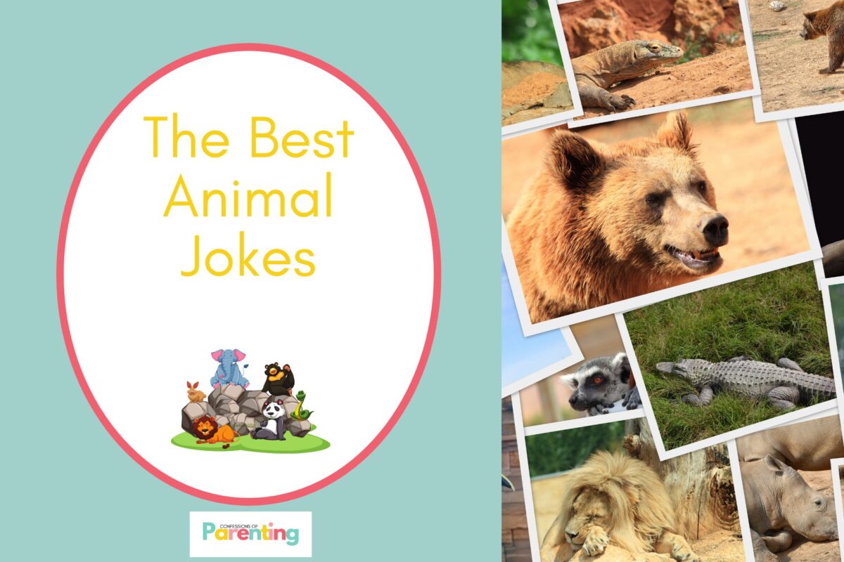Animal Jokes for Kids – 70+ Clean & Funny Animal Jokes