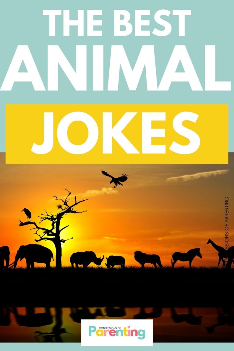 180 Funny Animal Jokes For Kids That Will Make You LOL [Free Joke Cards]