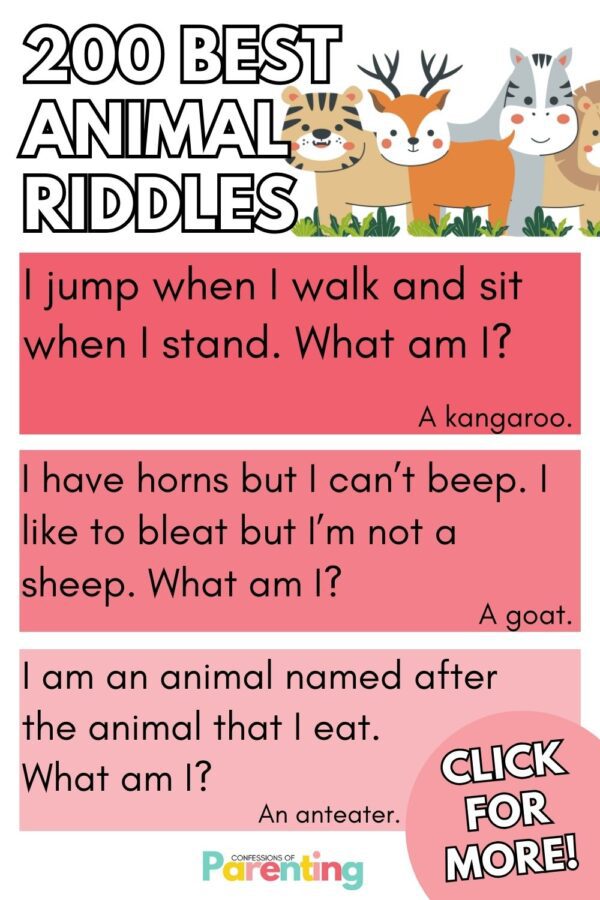 200 Best Animal Riddles That Will Leave You Laughing