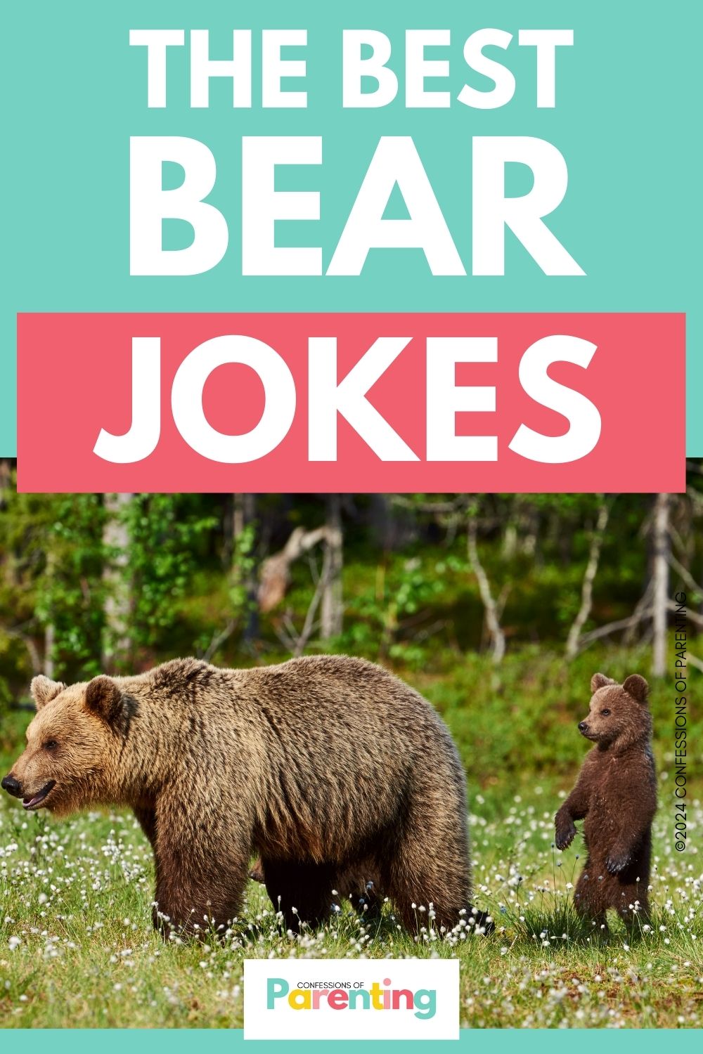 100 of the Best Bear Jokes for Kids [Good Clean Fun]