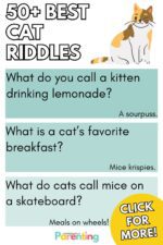 50+ Best Cat Riddles [Free Riddle Cards]