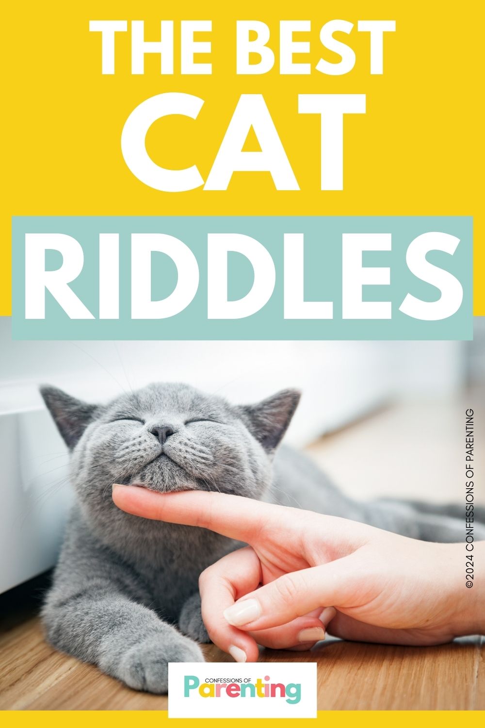 50+ Best Cat Riddles [Free Riddle Cards]