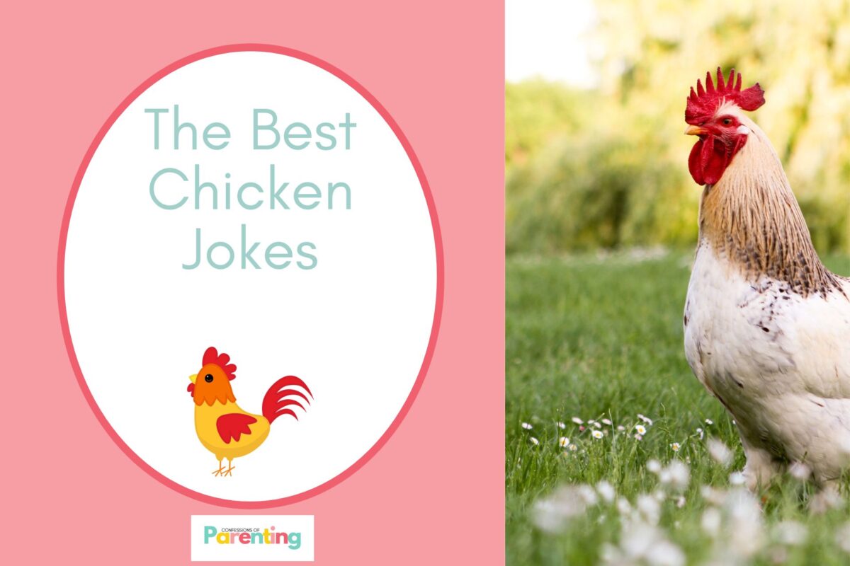 155 Chicken Jokes That Will Make You Cluck